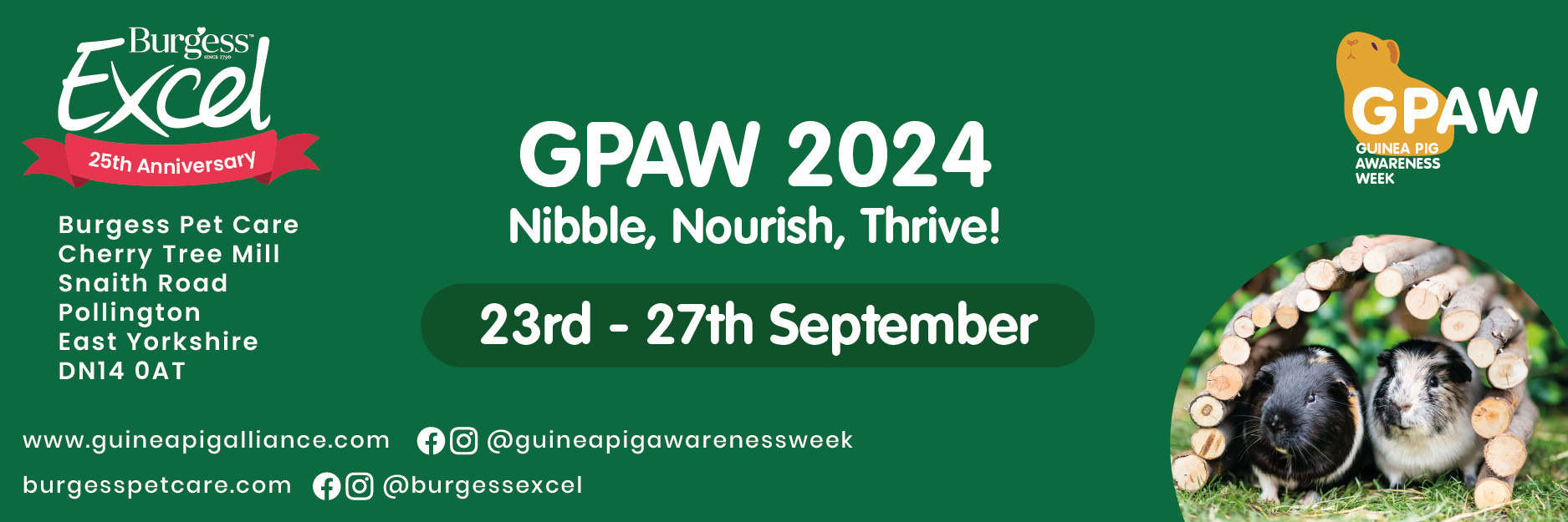Owner pack | Guinea Pig Awareness Week
