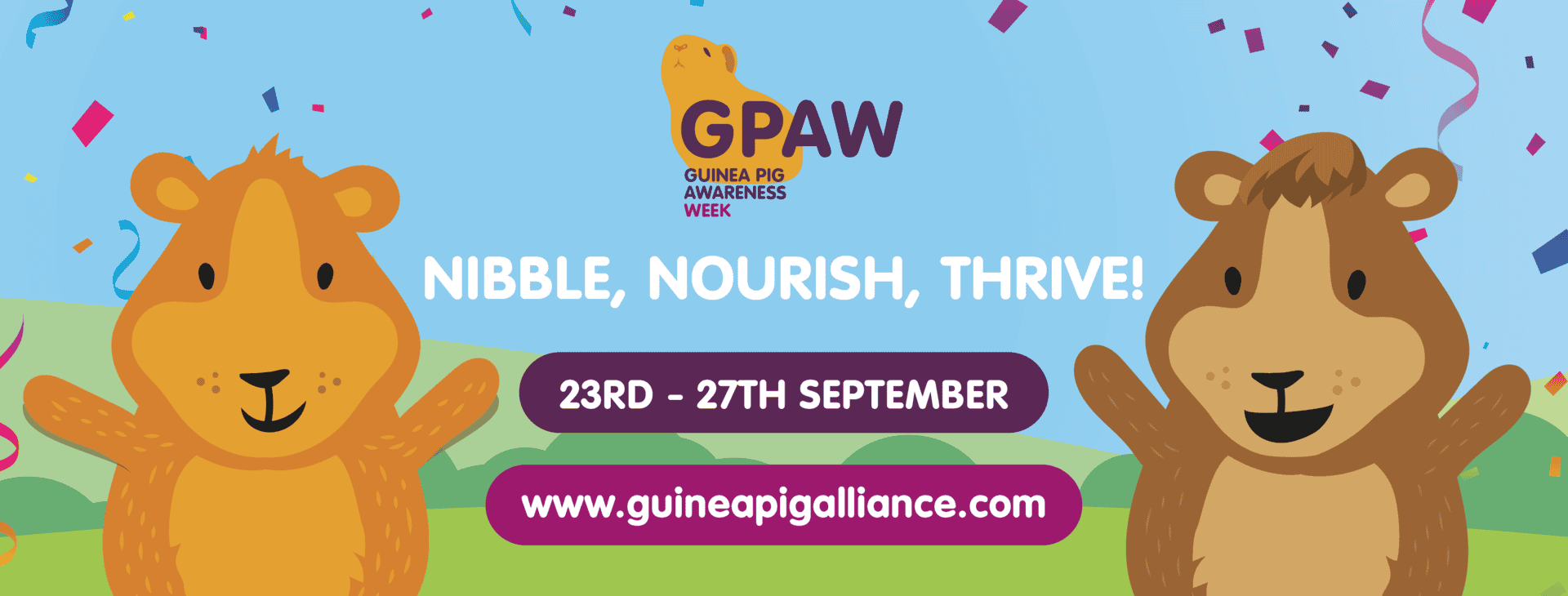 Vet pack | Guinea Pig Awareness Week